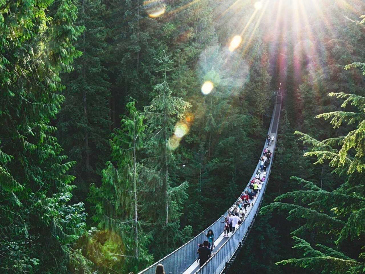 Bus From Seattle to Vancouver: Prices & 2025 Schedule