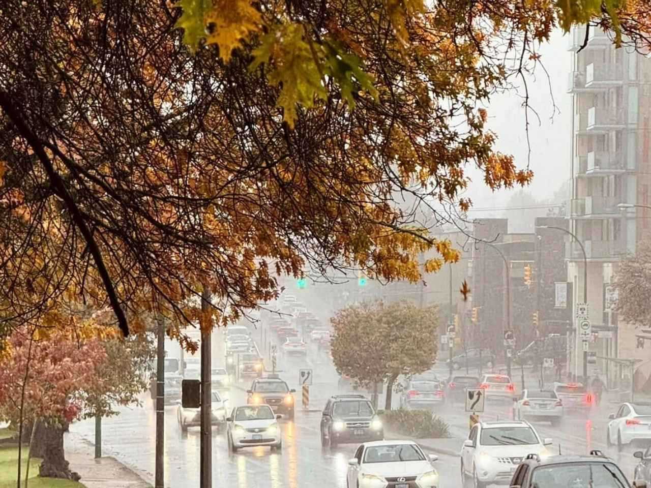 Weather in Vancouver in November 2026 + What to Wear 🔥